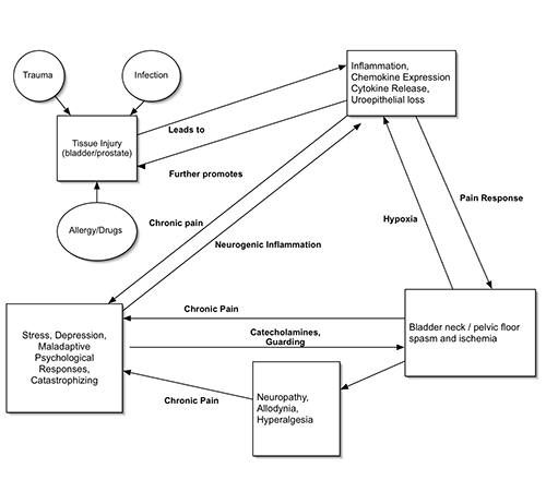 UPOINT Classification System for UCPPS