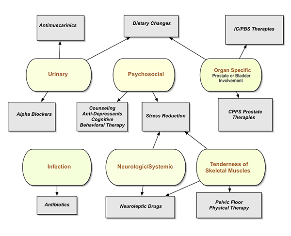 UPOINT Classification System for UCPPS